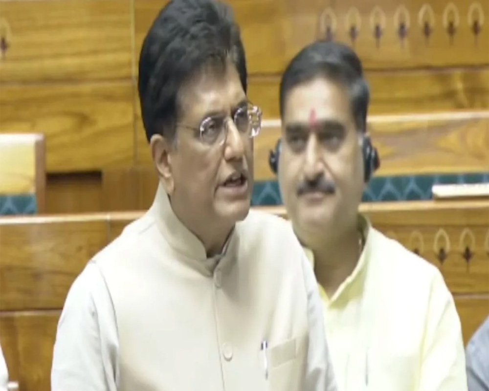 India to take all steps to protect national interest: Goyal on US ...